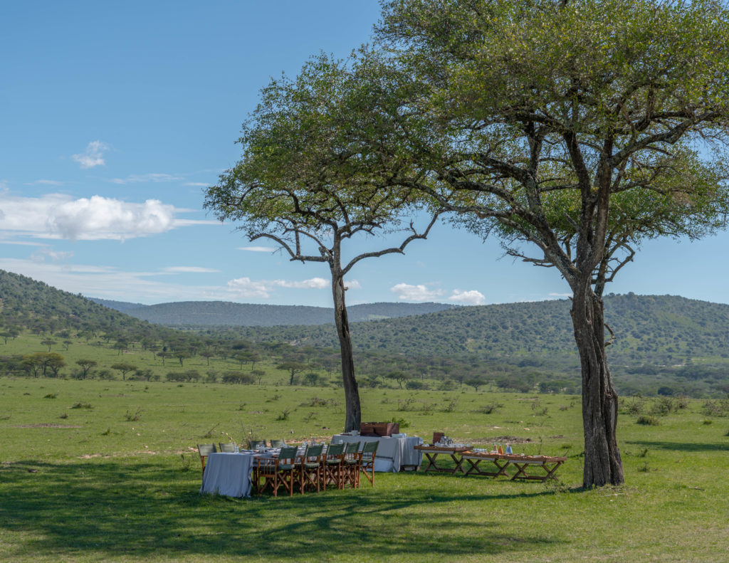 Past Giveaway - World Stompers