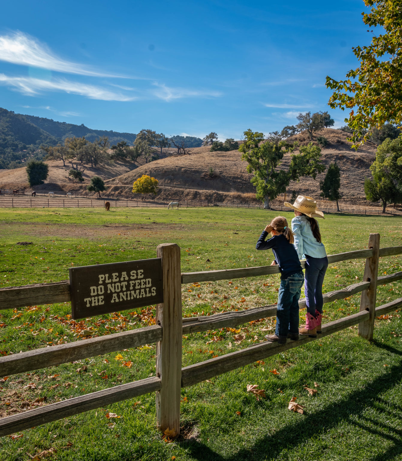 Alisal Guest Ranch: A Luxury Ranch Experience for The Whole Family ...